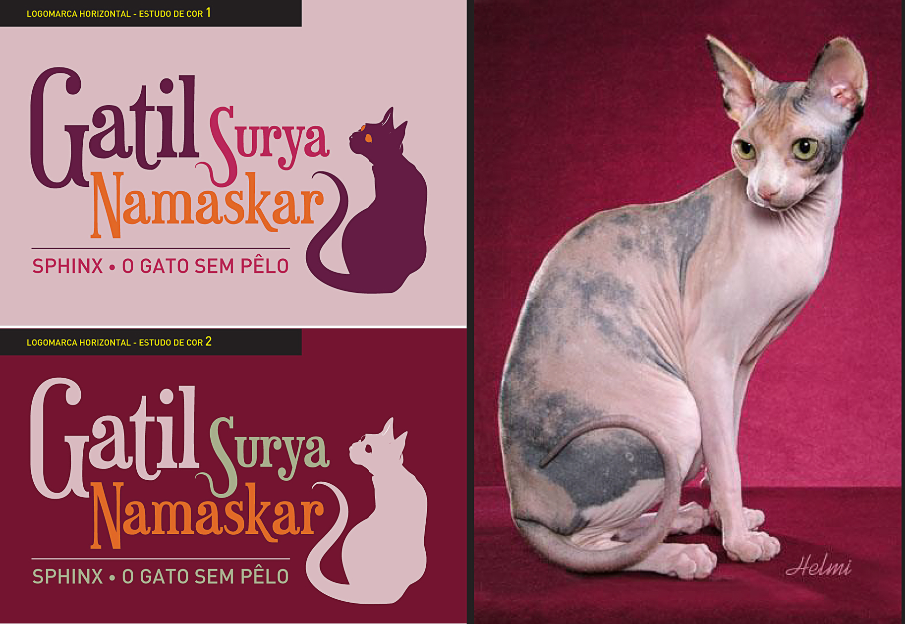 Logo para Criação de Gatos SPHINX(gatos sem pêlo) – Gatil Surya ...